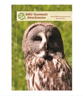 HPI Direct Online Store - Medium ImageFlex Weekly